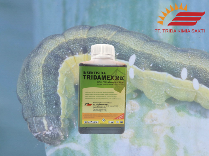 PT. Trida Kimia Sakti